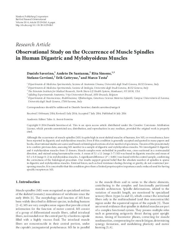 (PDF) Observational Study on the Occurrence of Muscle Spindles in Human ...