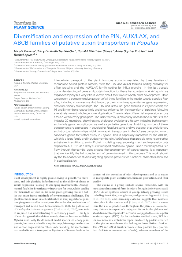 (PDF) Auxin Transporter Families in Populus