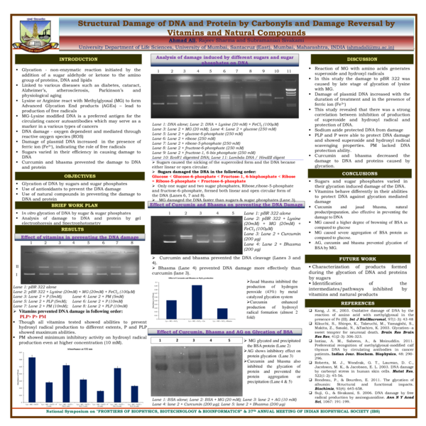(PDF) IBS Poster