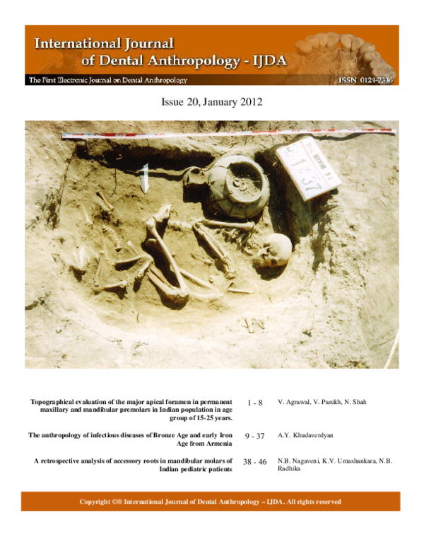 (PDF) Topographical evaluation of the major apical foramen in permanent ...