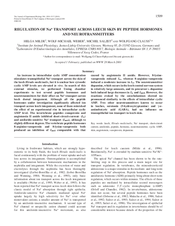 (PDF) Modulation of ion transport across leech skin by invertebrate ...