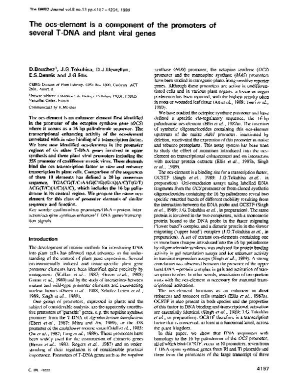 (PDF) The ocs-element is a component of the promoters of several T-DNA ...