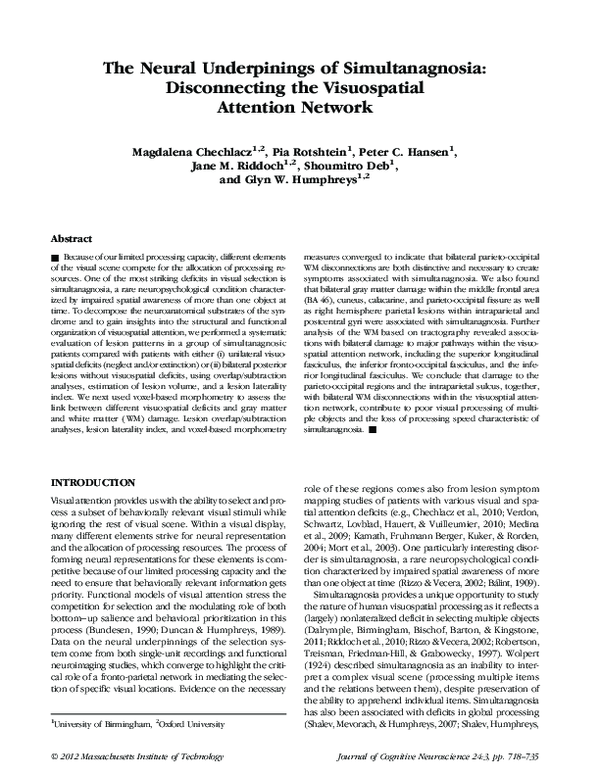 (PDF) The Neural Underpinings of Simultanagnosia: Disconnecting the ...