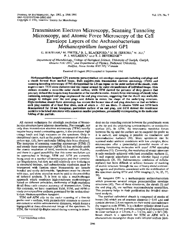 (PDF) Transmission electron microscopy, scanning tunneling microscopy ...