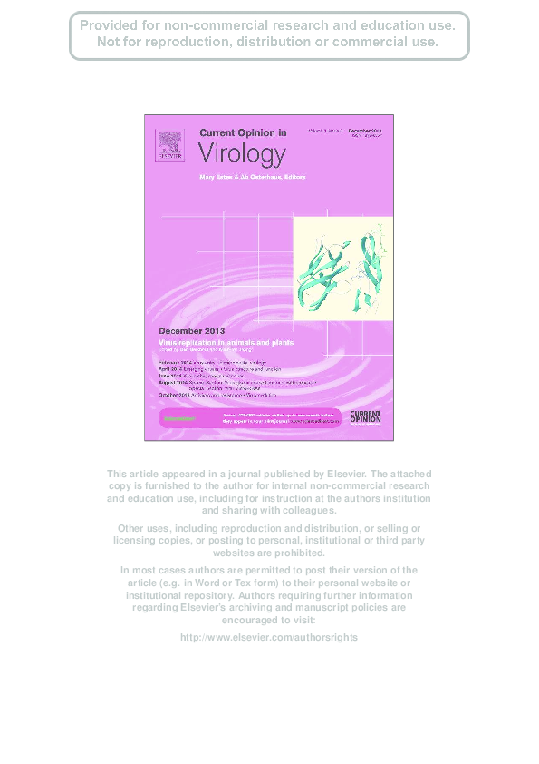 (PDF) Endogenous pararetroviruses--a reservoir of virus infection in plants