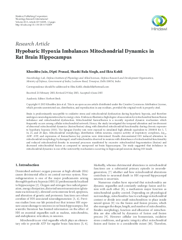 (PDF) Hypobaric Hypoxia Imbalances Mitochondrial Dynamics in Rat Brain ...