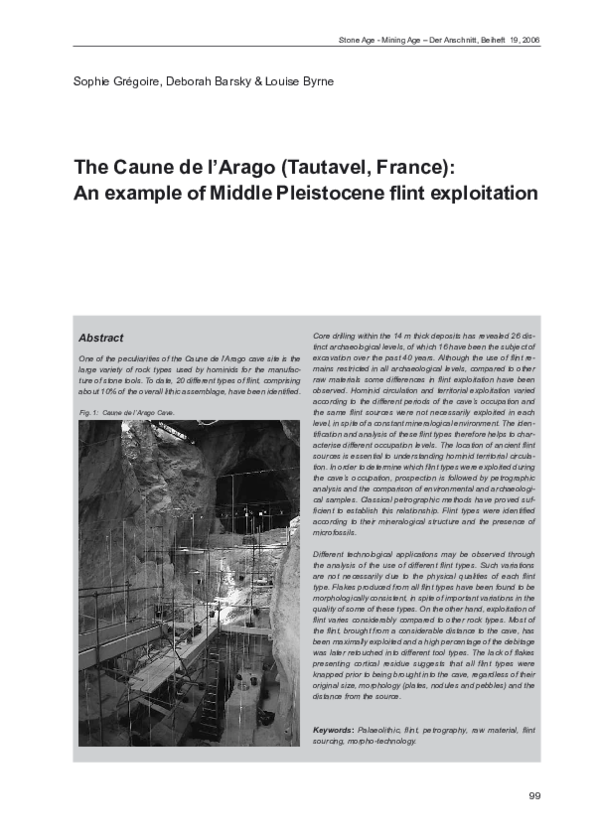 (PDF) The Caune de l’Arago (Tautavel, France): An example of Middle ...