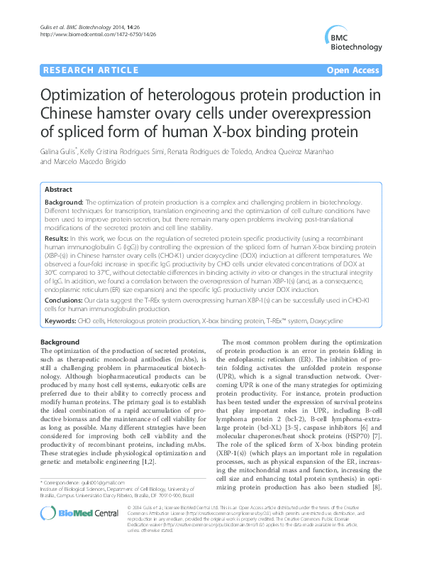 Pdf Optimization Of Heterologous Protein Production In Chinese Hamster Ovary Cells Under