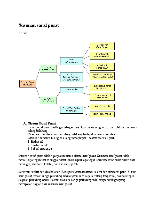 (DOC) Susunan saraf pusat ambo