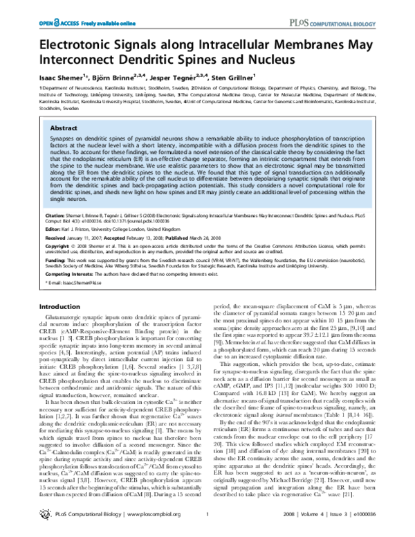 (PDF) Electrotonic Signals along Intracellular Membranes May ...