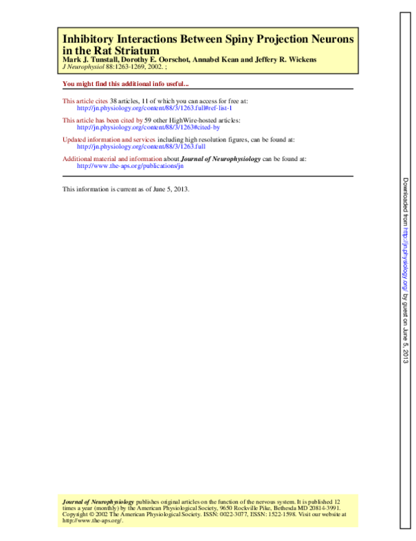 (PDF) Dynamics of synaptic transmission between fast-spiking ...