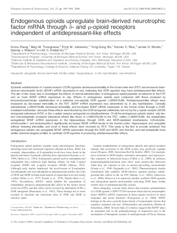 (PDF) Endogenous opioids upregulate brain-derived neurotrophic factor ...