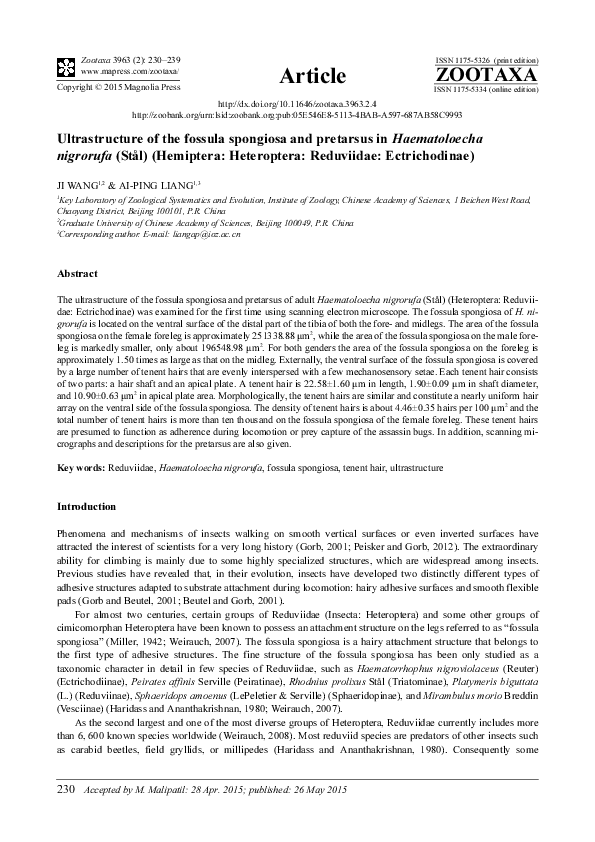 (PDF) Ultrastructure of the fossula spongiosa and pretarsus in ...
