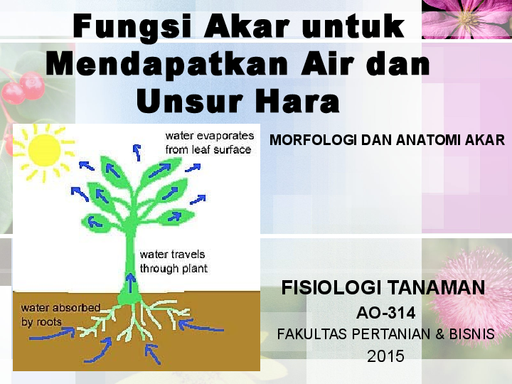 (PPT) 1. Fungsi Akar