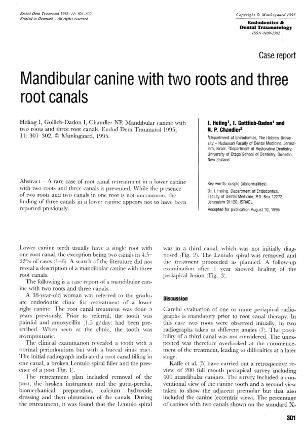 (PDF) Mandibular canine with two roots and three root canals