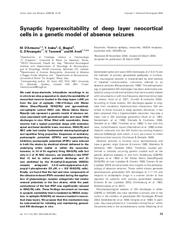 (PDF) Synaptic hyperexcitability of deep layer neocortical cells in a genetic model of absence ...