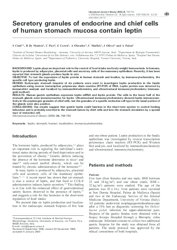 (PDF) Secretory granules of endocrine and chief cells of human stomach ...