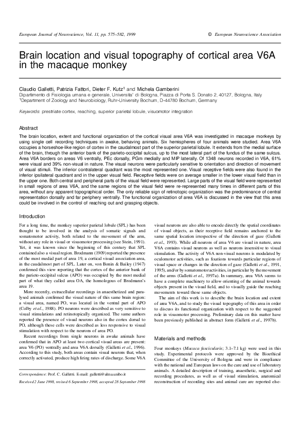 (PDF) The cortical visual area V6: brain location and visual topography