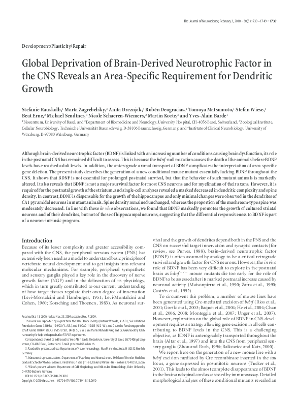 (PDF) Global Deprivation of Brain-Derived Neurotrophic Factor in the ...