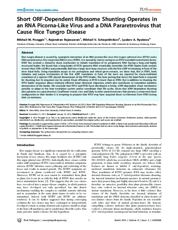 (PDF) Short ORF-Dependent Ribosome Shunting Operates in an RNA Picorna ...