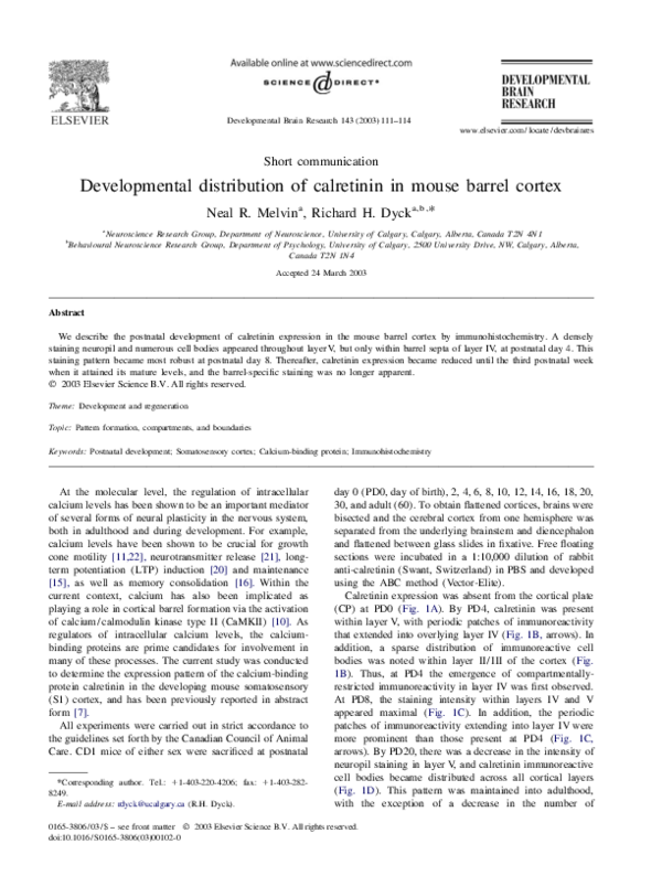 (PDF) Developmental distribution of calretinin in mouse barrel cortex