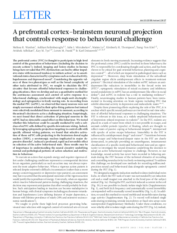 (PDF) A prefrontal cortex–brainstem neuronal projection that controls response to behavioural ...