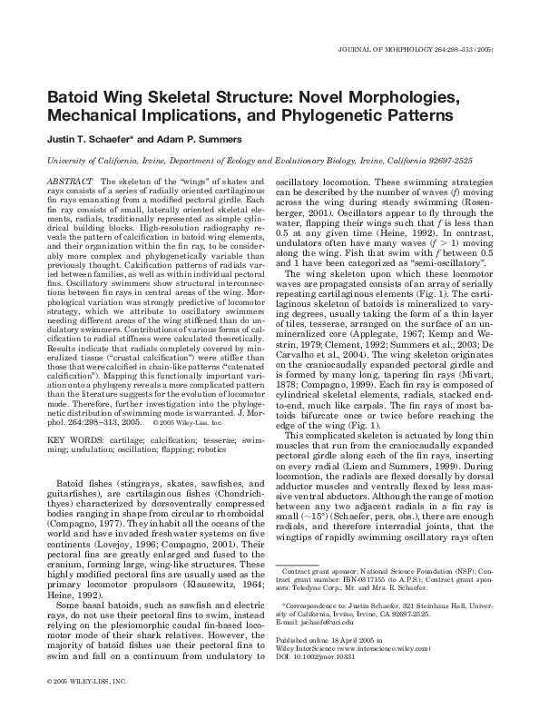 (PDF) Batoid wing skeletal structure: Novel morphologies, mechanical ...