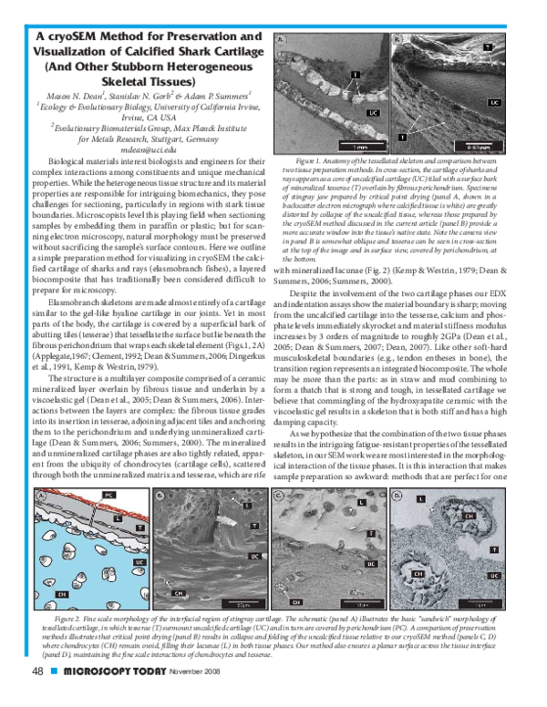 (PDF) A cryoSEM Method for Preservation and Visualization of Calcified ...