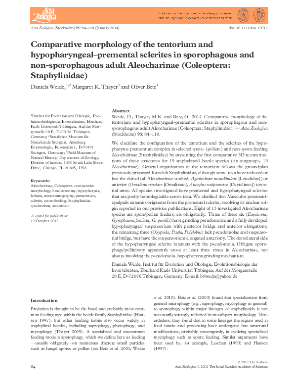 (PDF) Comparative morphology of the tentorium and hypopharyngeal ...