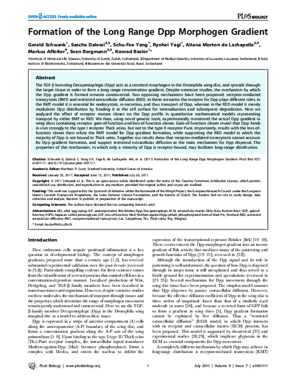 (PDF) Formation of the Long Range Dpp Morphogen Gradient