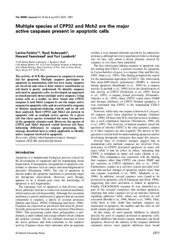 (PDF) Multiple species of CPP32 and Mch2 are the major active caspases present in apoptotic cells
