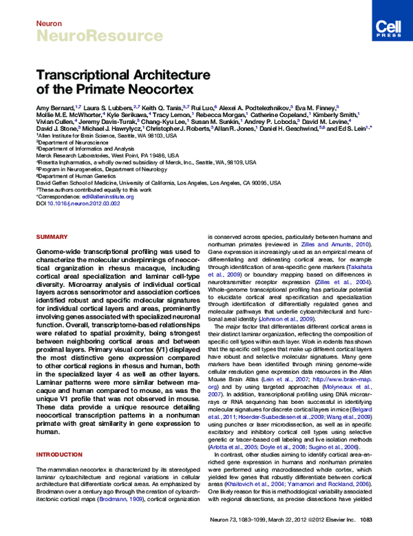(PDF) Transcriptional Architecture of the Primate Neocortex