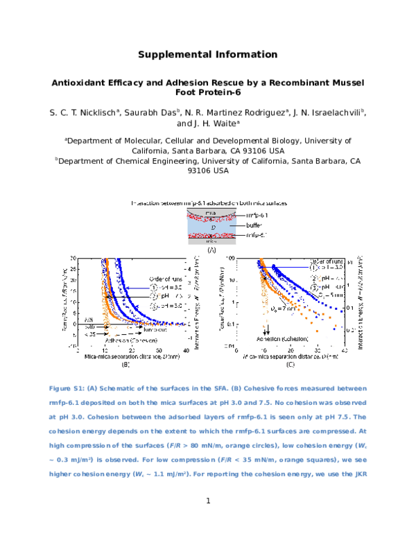 (DOC) Recombinant Mussel Foot Protein-6: Cohesion Study
