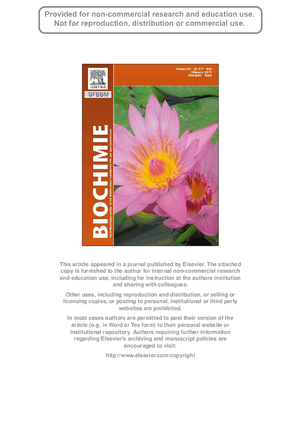 (PDF) Peptidylarginine deiminase expression and activity in PAD2 knock ...