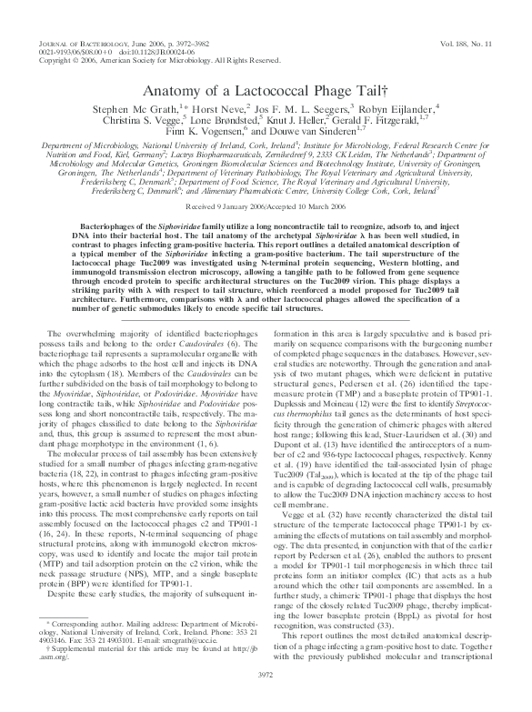 (PDF) Anatomy of a Lactococcal Phage Tail | Douwe Van Sinderen ...