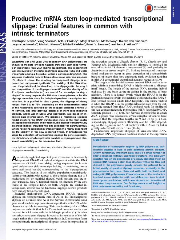(PDF) Productive mRNA stem loop-mediated transcriptional slippage ...