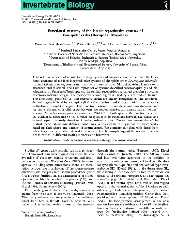 (PDF) Functional anatomy of the female reproductive systems of two ...