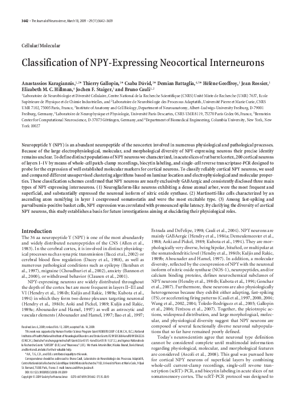 (PDF) Classification of NPY-Expressing Neocortical Interneurons | Jean Rossier - Academia.edu