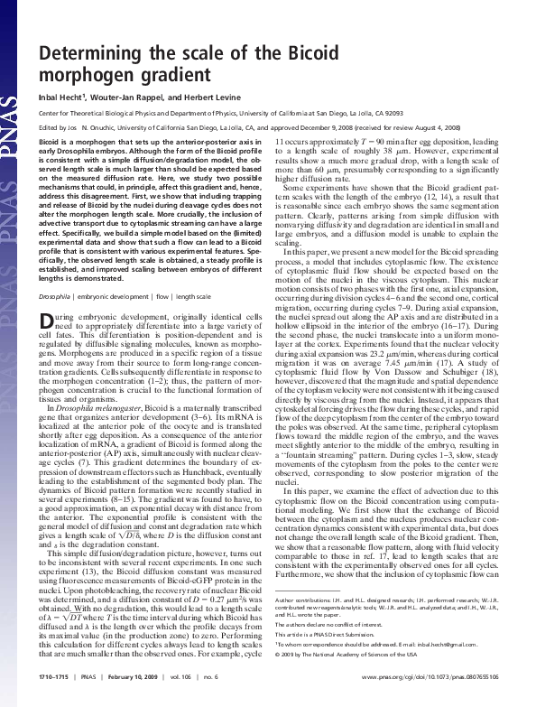 (PDF) Bicoid Gradient Scale: Mechanisms Examined