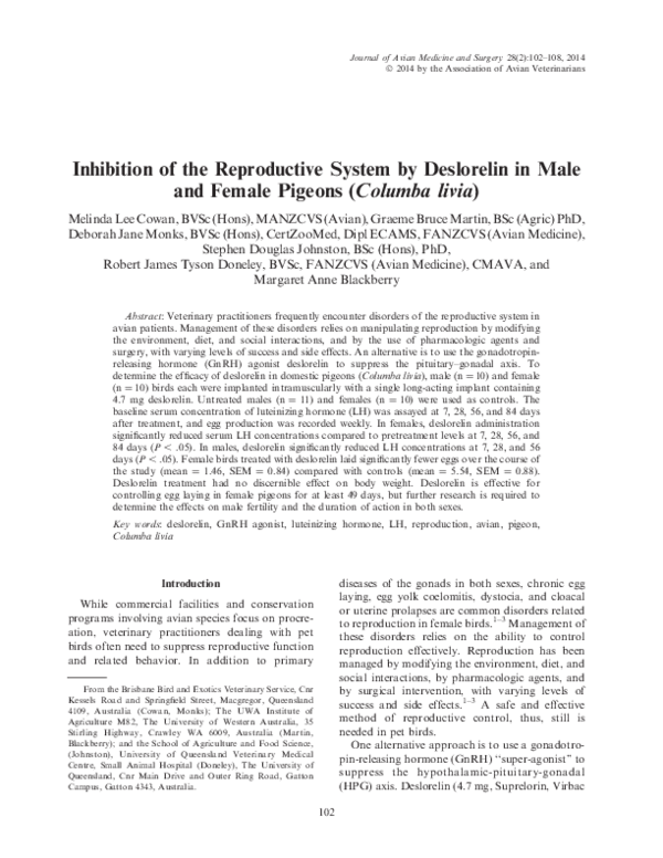 (PDF) Inhibition of the reproductive system by deslorelin in male and female pigeons (Columba livia)