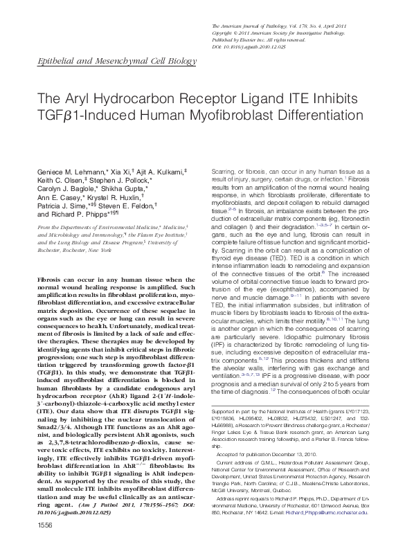 (PDF) The Aryl Hydrocarbon Receptor Ligand ITE Inhibits TGFβ1-Induced Human Myofibroblast ...