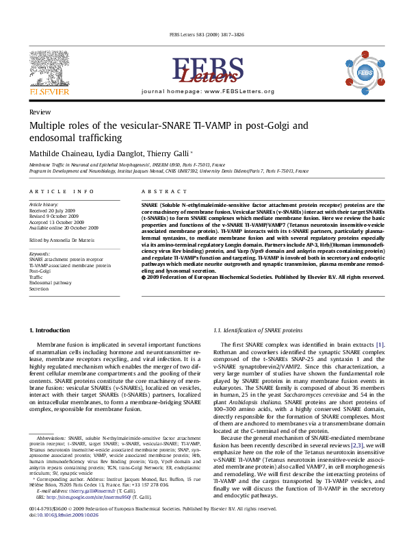 (PDF) Multiple roles of the vesicular-SNARE TI-VAMP in post-Golgi and ...