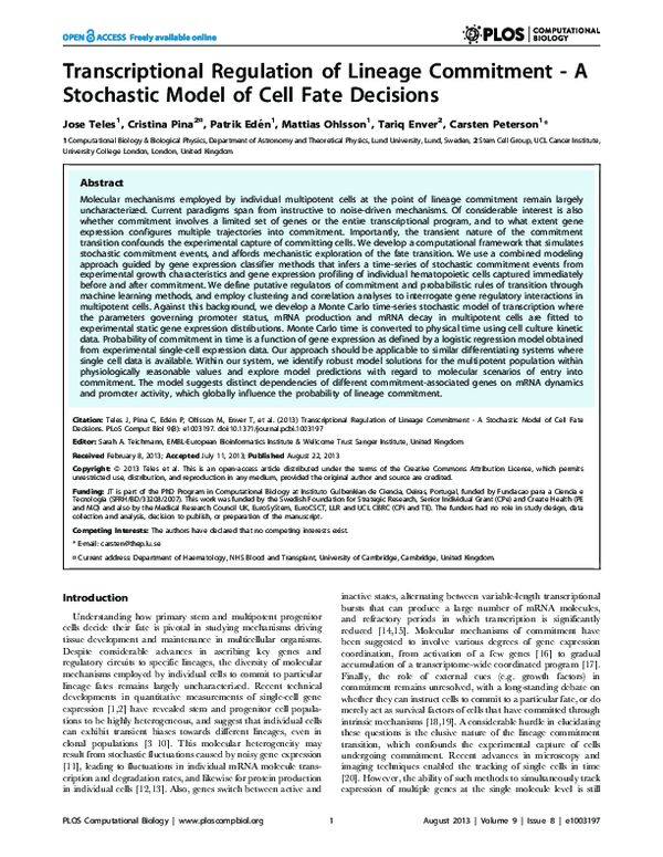 (PDF) Transcriptional Regulation of Lineage Commitment - A Stochastic ...