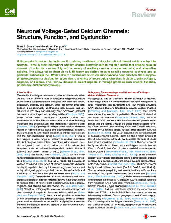 (PDF) Neuronal Voltage-Gated Calcium Channels: Structure, Function, and Dysfunction