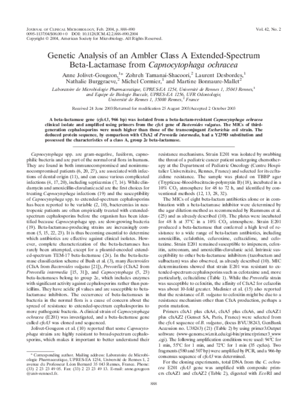 (PDF) Genetic Analysis of an Ambler Class A Extended-Spectrum Beta ...
