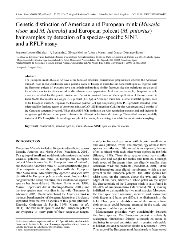 (PDF) Genetic distinction of American and European mink (Mustela vison ...