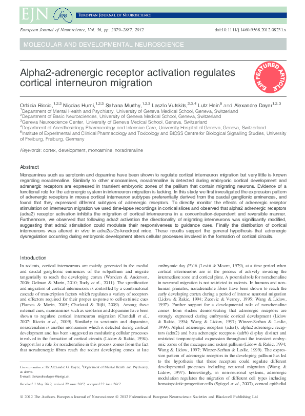 (PDF) Alpha2-adrenergic receptor activation regulates cortical ...