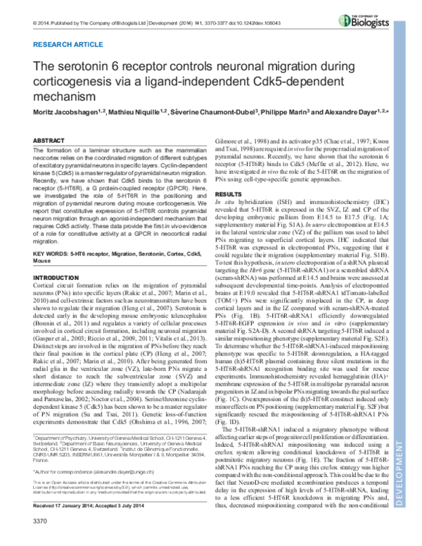 (PDF) The serotonin 6 receptor controls neuronal migration during corticogenesis via a ligand ...