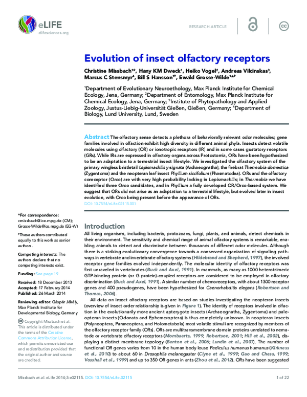 (PDF) Evolution of insect olfactory receptors