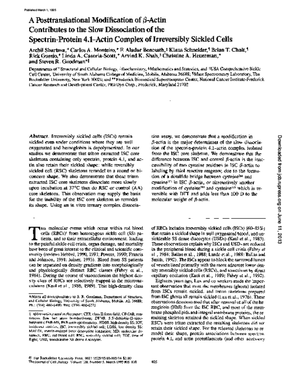 (PDF) A posttranslational modification of beta-actin contributes to the ...